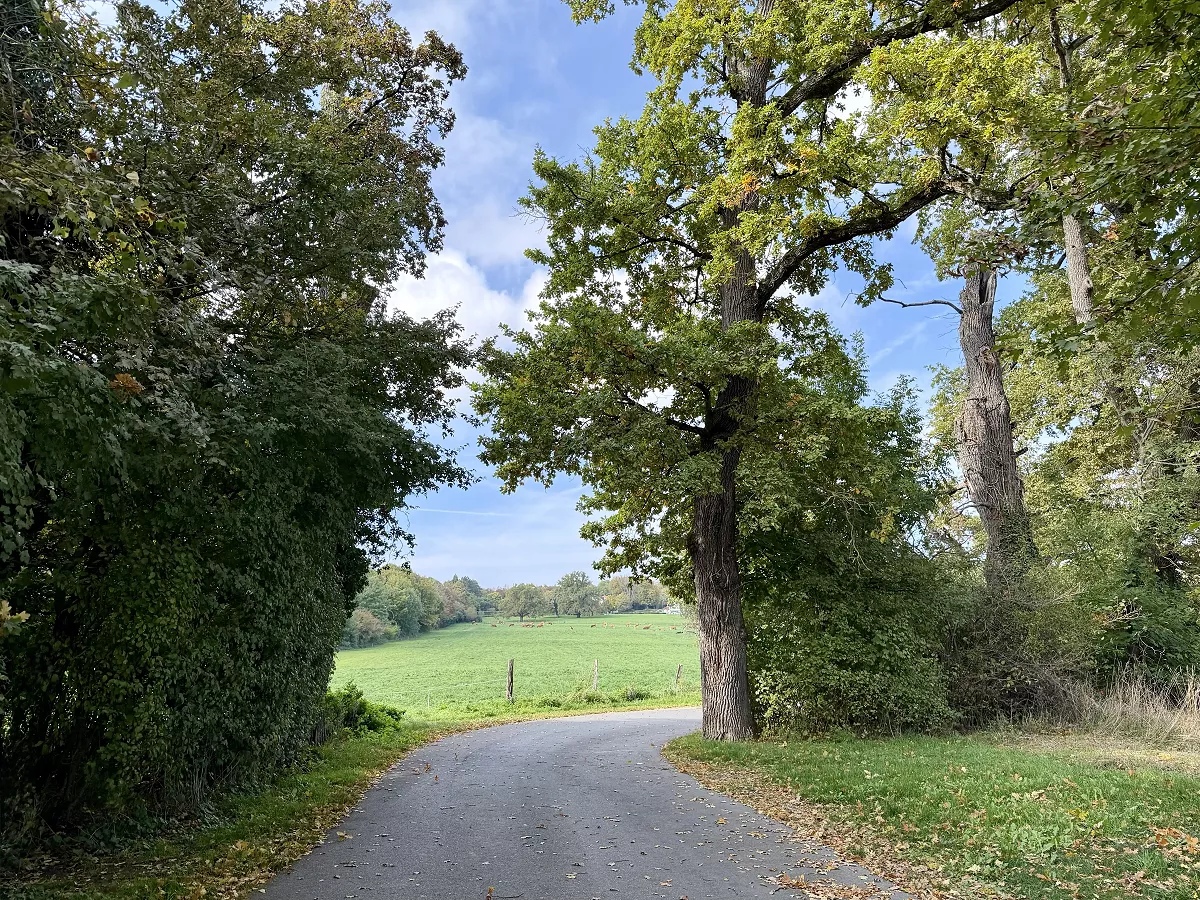 Please wait while I reboot | david.roess.li